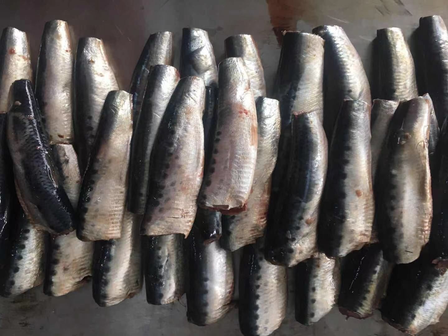 Sardinas congeladas frescas naturales del esmalte HGT para conservar